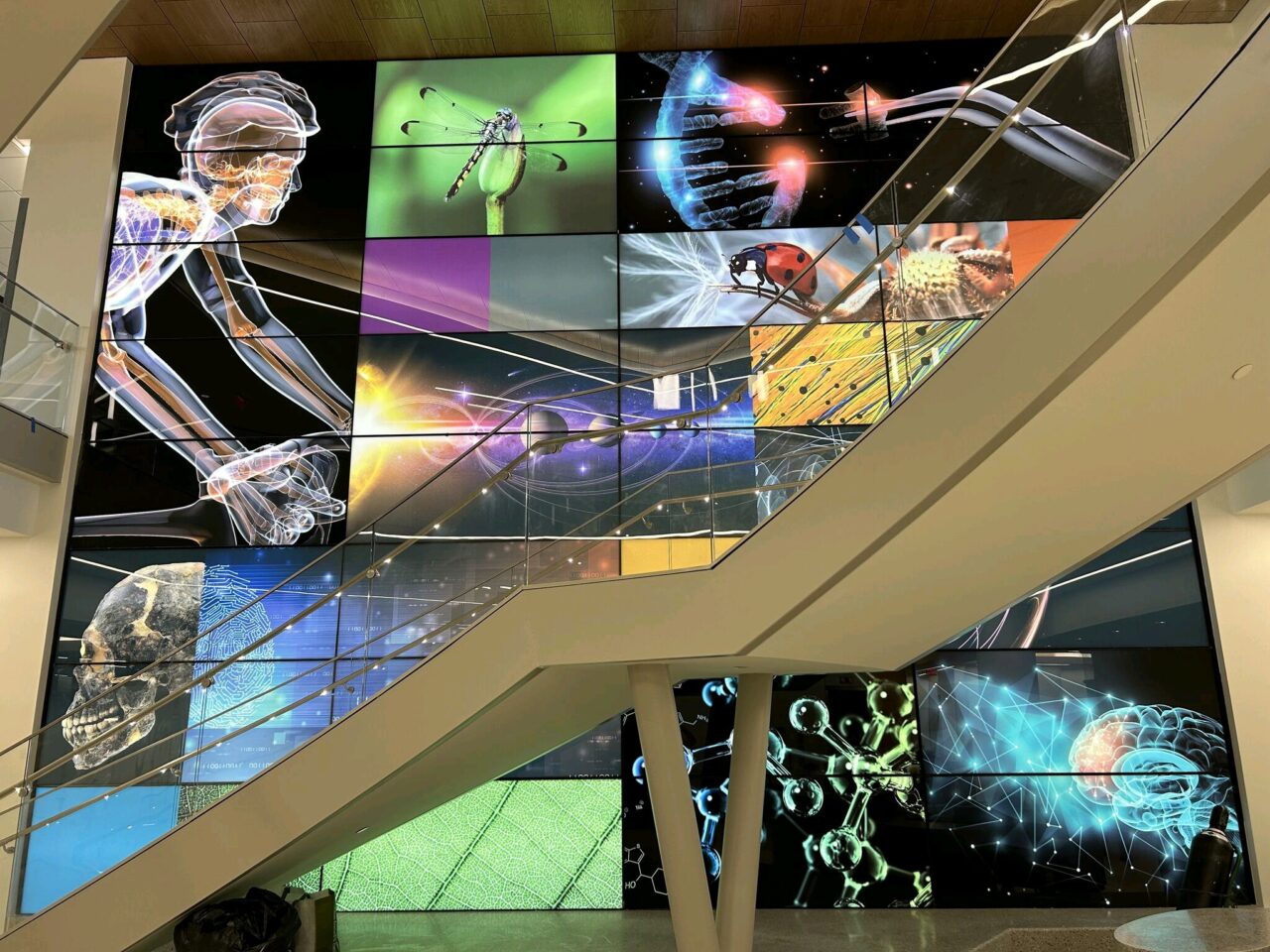 Photo Gallery | Nycom